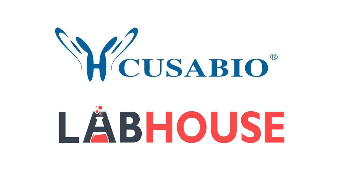 ლაბჰაუსი “CUSABIO”-ს წარმომადგენელი გახდა - LabHouse